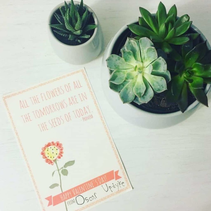 Easy Teacher Valentines - Free Printable Cards for Teacher Gifts