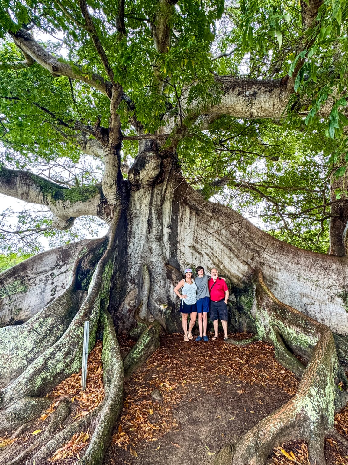 Puerto Rico Beyond San Juan: El Yunque, Luquillo & East Coast