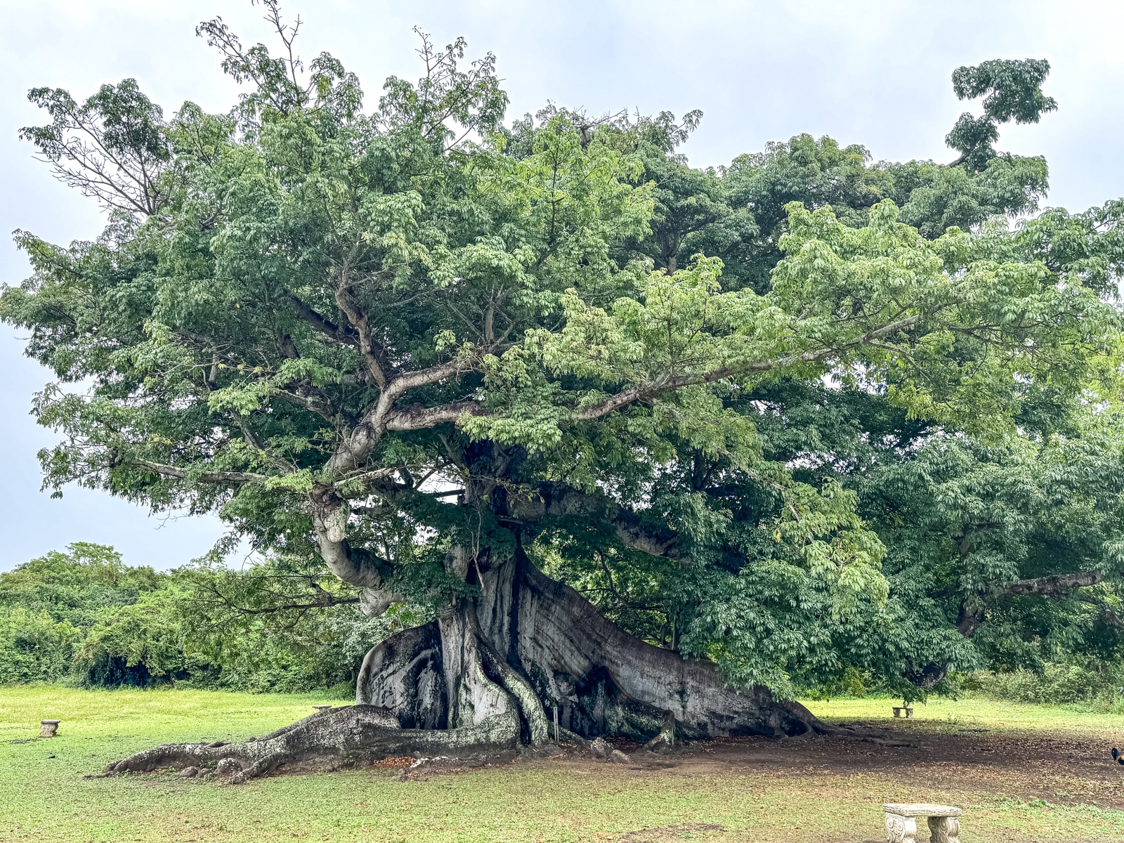 Exploring Puerto Rico Beyond San Juan - Just is a Four Letter Word